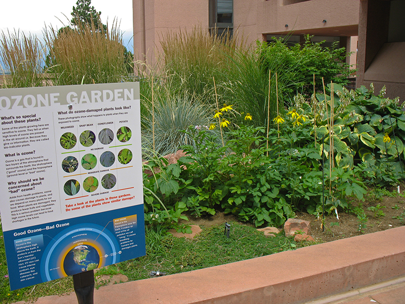 Ozone Garden Overview